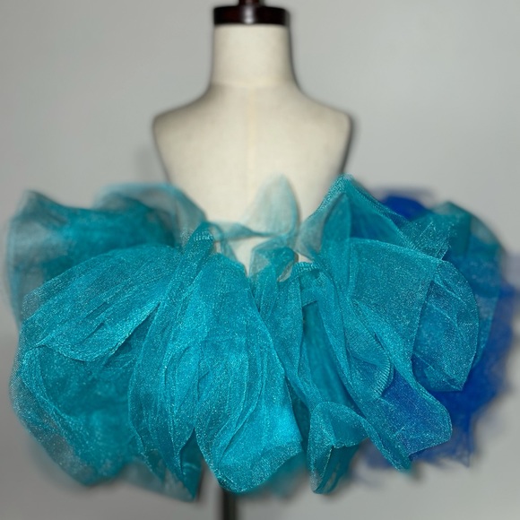 Bottoms | Tutu Skirt | Poshmark